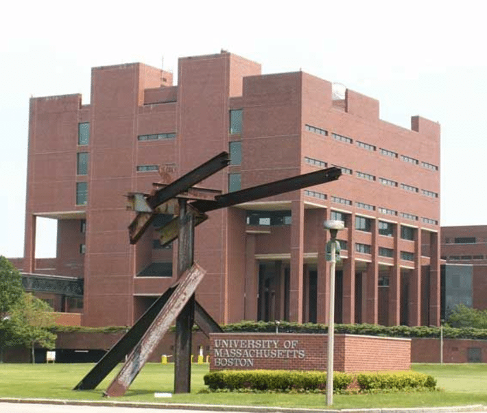 UMass Boston, Healey Library Survey | VERTEX