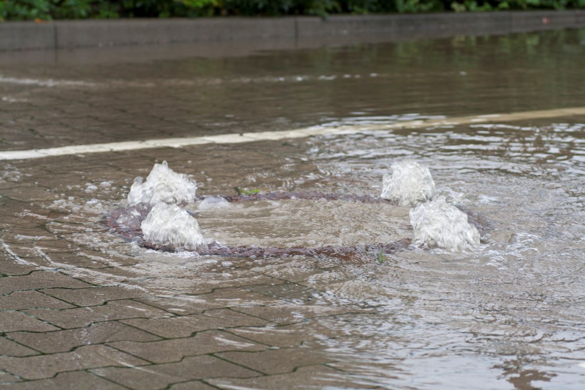 Sanitary Sewer Systems Overview and Overflows | VERTEX