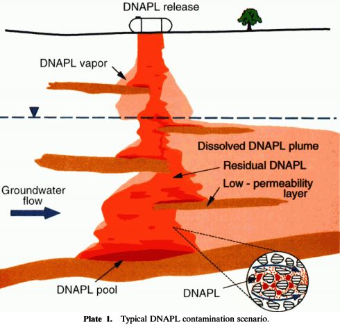 Dense Non-Aqueous Phase Liquid Contamination | VERTEX