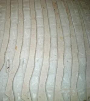 Flooring Tile Issues | VERTEX