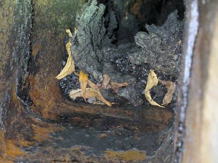 Residential Chimneys: Assessing Common Causes of Damage | VERTEX