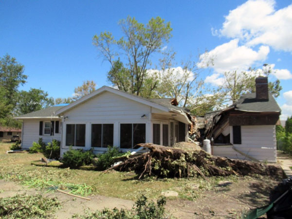 Tree Impact Claim Investigations | VERTEX