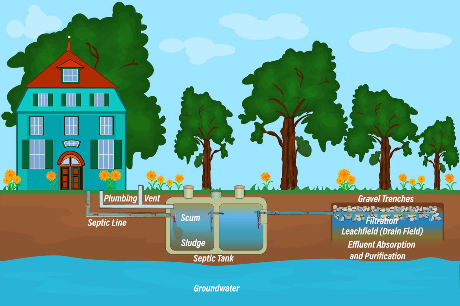Septic Systems - Basics and Common Failures | VERTEX