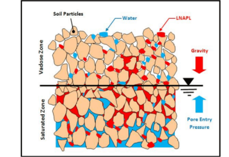 LNAPL Complexities and Misconceptions at Remediation Sites | VERTEX