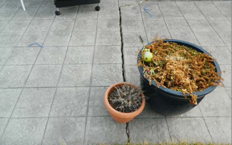 Stabilizing and Strengthening Settling Foundations