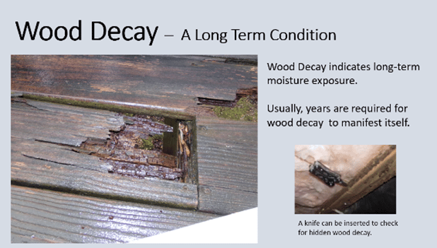 How Old is The Mold? | VERTEX