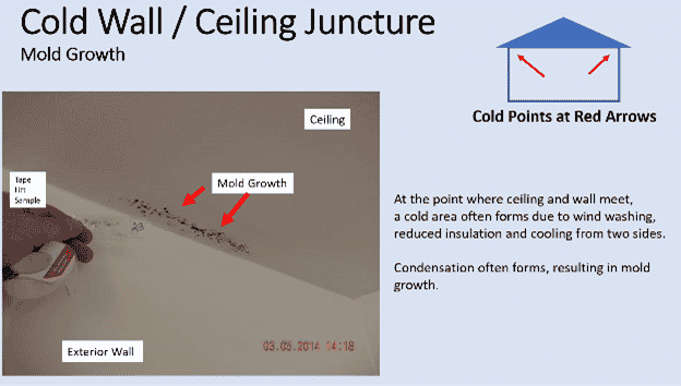 How Old is The Mold? | VERTEX