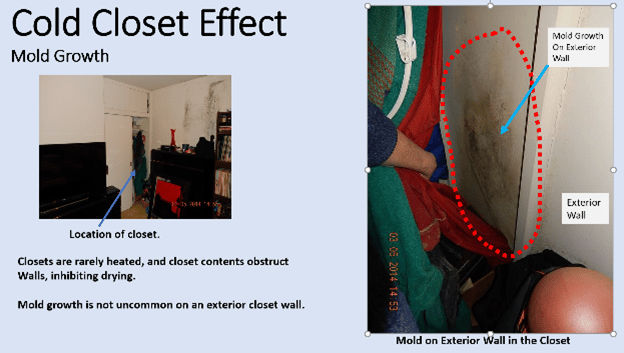 How Old is The Mold? | VERTEX