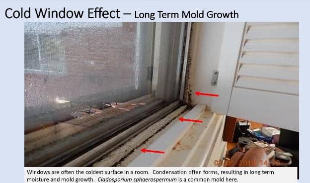 How Old is The Mold? | VERTEX