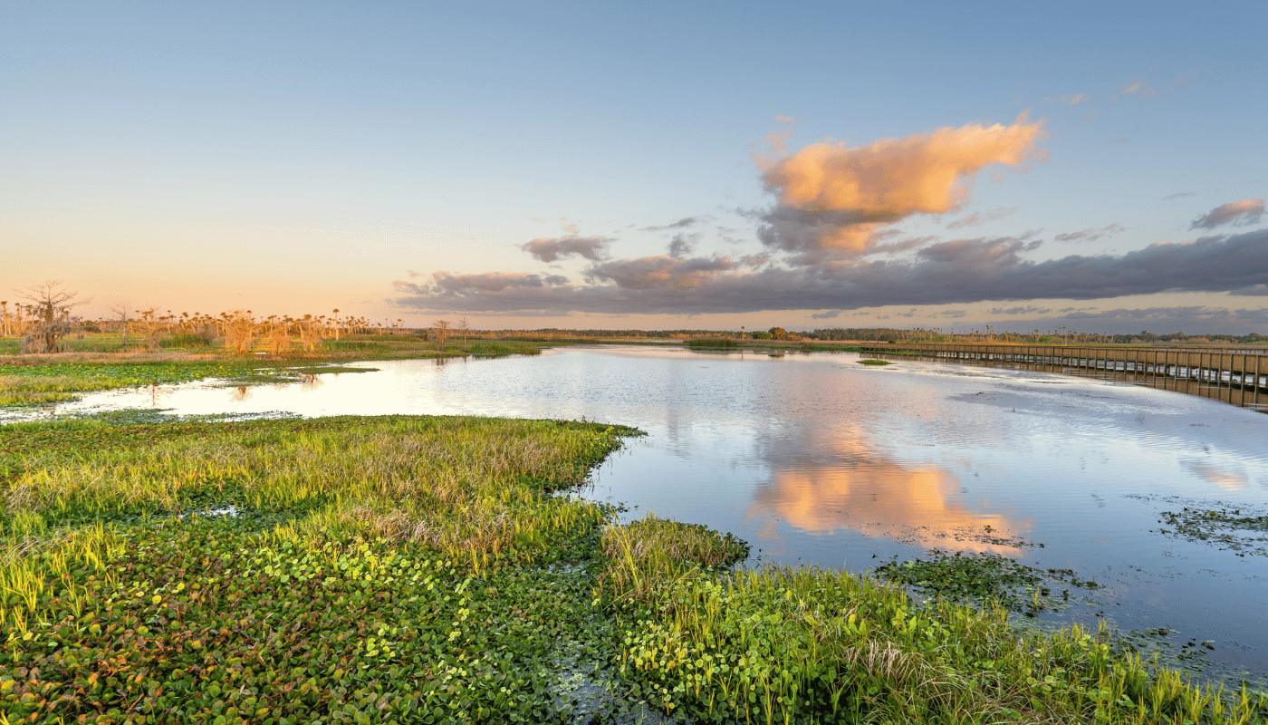 New Freshwater Wetlands Permitting Rules in Rhode Island | VERTEX