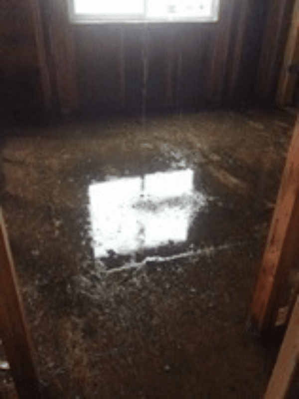 Best Practices: Reducing the Impact of Mold on Construction Projects ...