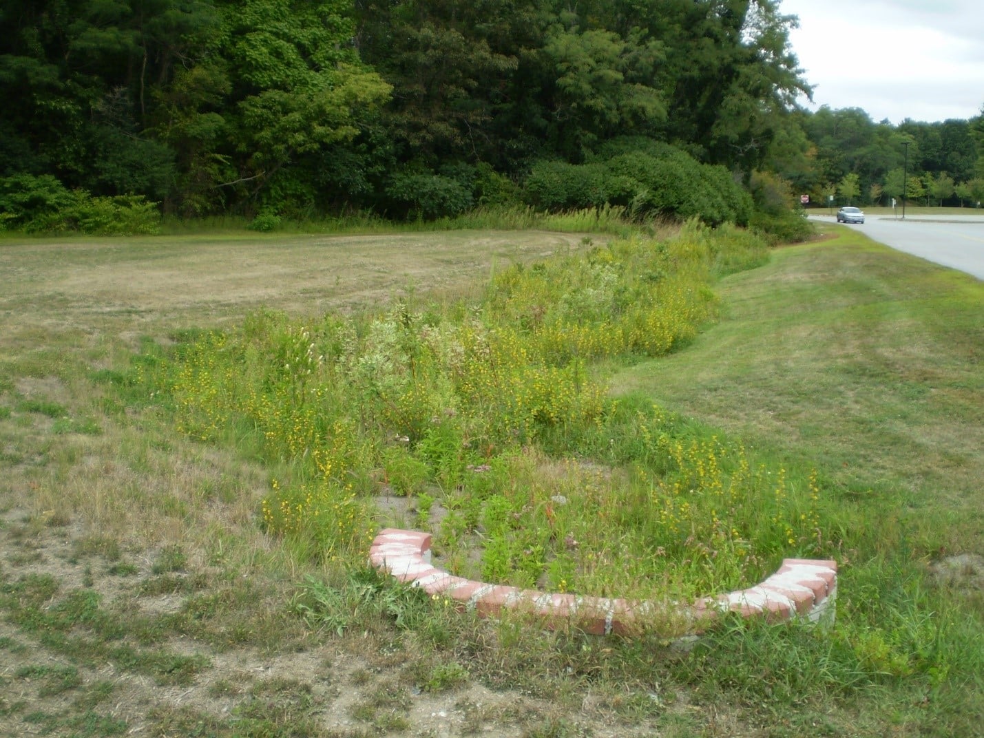 Shielding the Earth: Erosion and Sedimentation Control Measures in ...