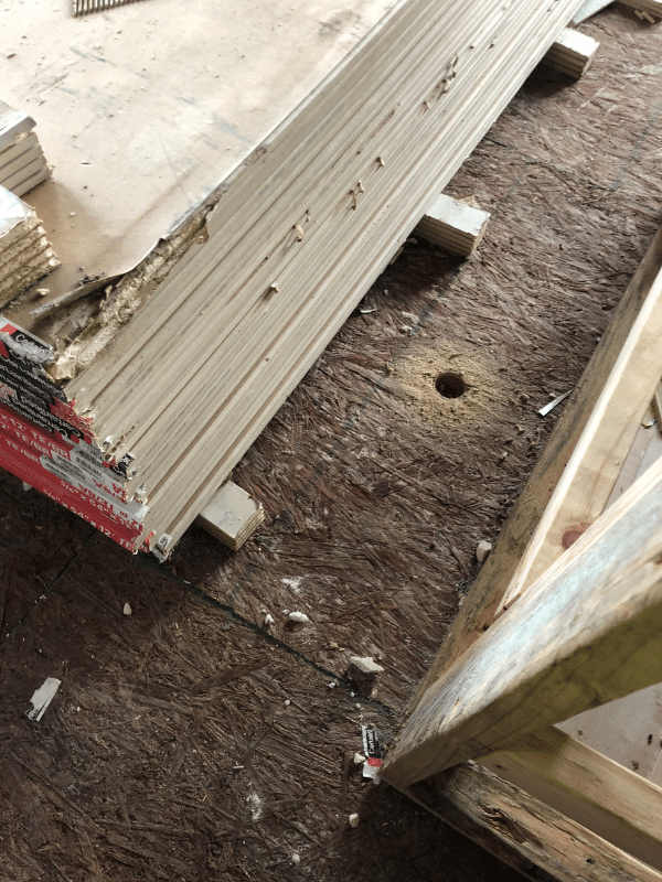 Defending Against Mold: Safeguarding Construction Materials for Mold ...