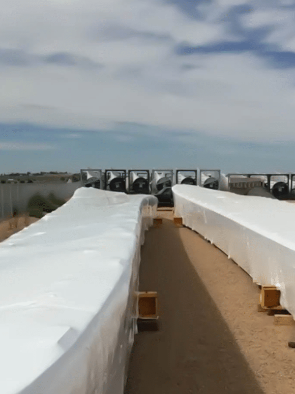 Defending Against Mold: Safeguarding Construction Materials for Mold ...