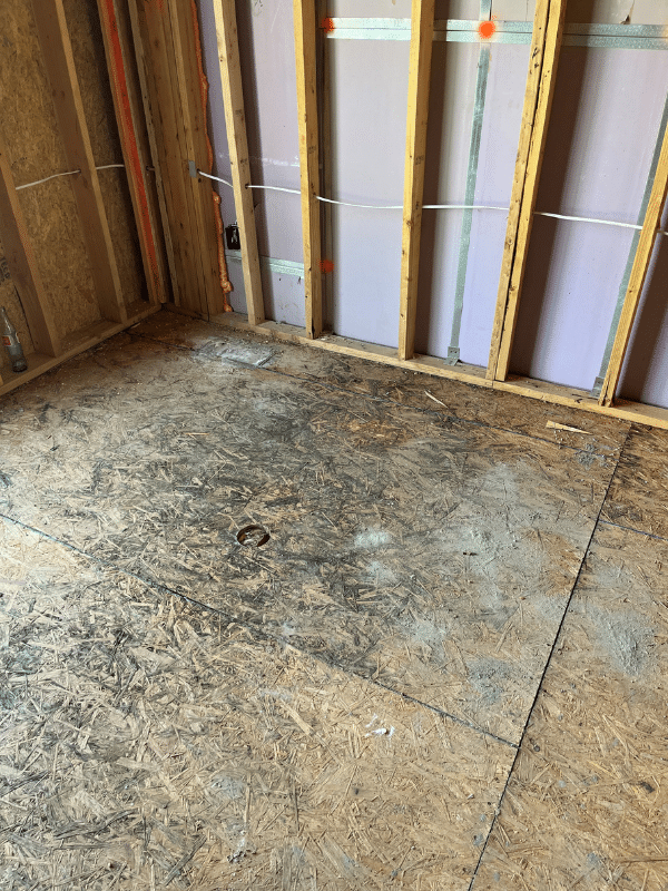 Defending Against Mold: Safeguarding Construction Materials for Mold ...