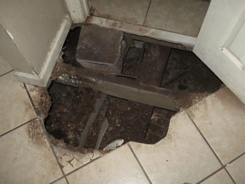 Wood Rot in Crawlspaces: Prevention is the Best Practice | VERTEX
