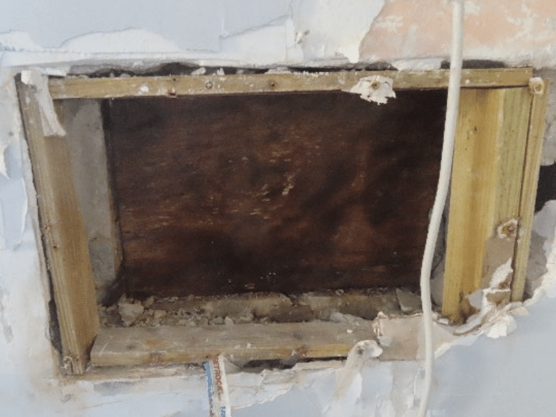 Wood Rot in Crawlspaces: Prevention is the Best Practice | VERTEX