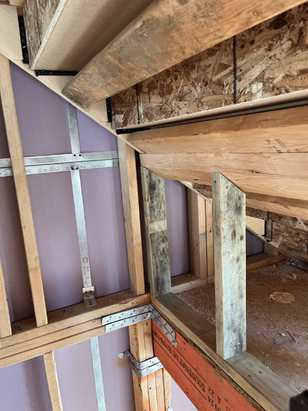 Defending Against Mold: Safeguarding Construction Materials for Mold ...