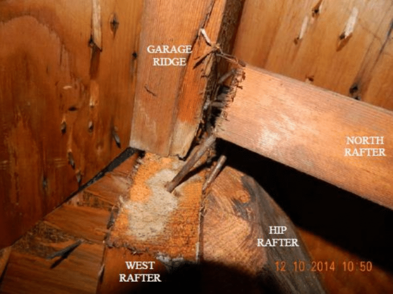 Residential Roof Framing Basics – Part 3: Understanding Hips and ...