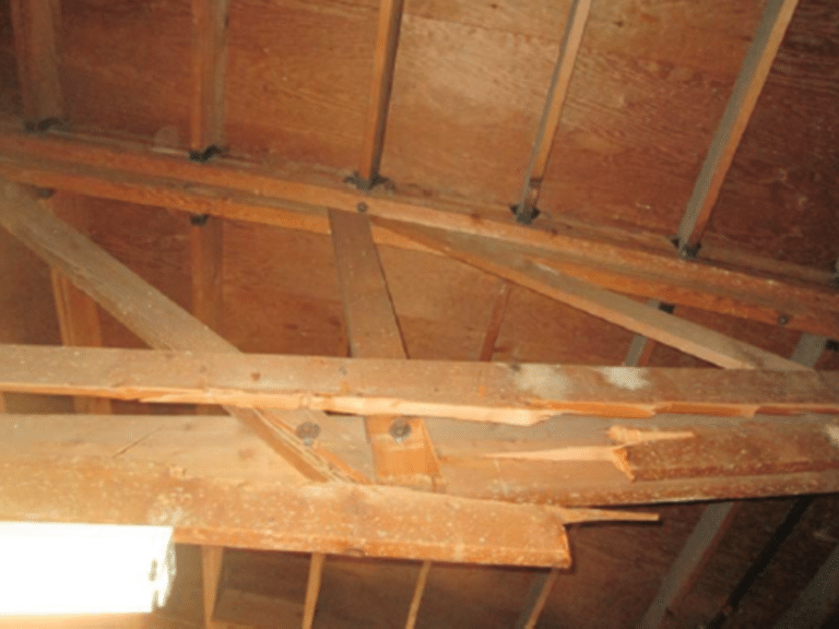 Historical Building Systems' Series: Bowstring Trusses | VERTEX