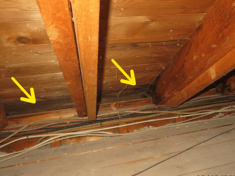 Need to Know: The Damaging Effects of Ice Dams and How to Prevent Them ...