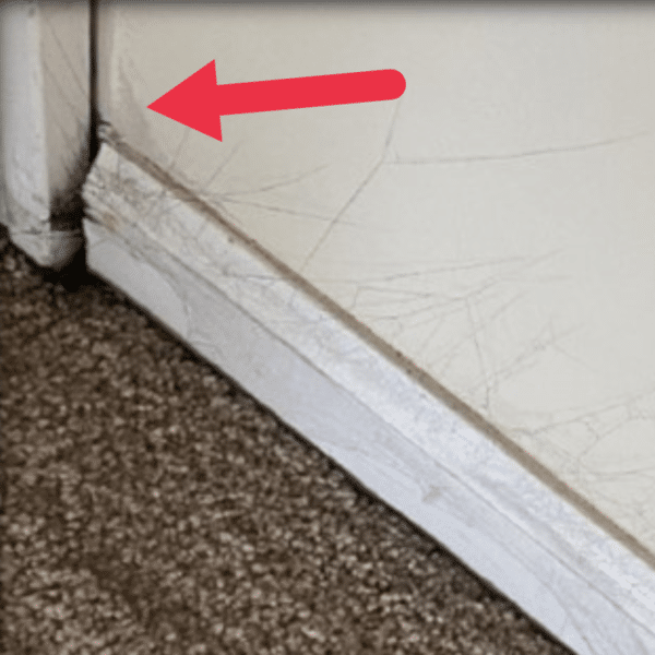 Need to Know: Smoke Damage and Combustion By-Products | VERTEX