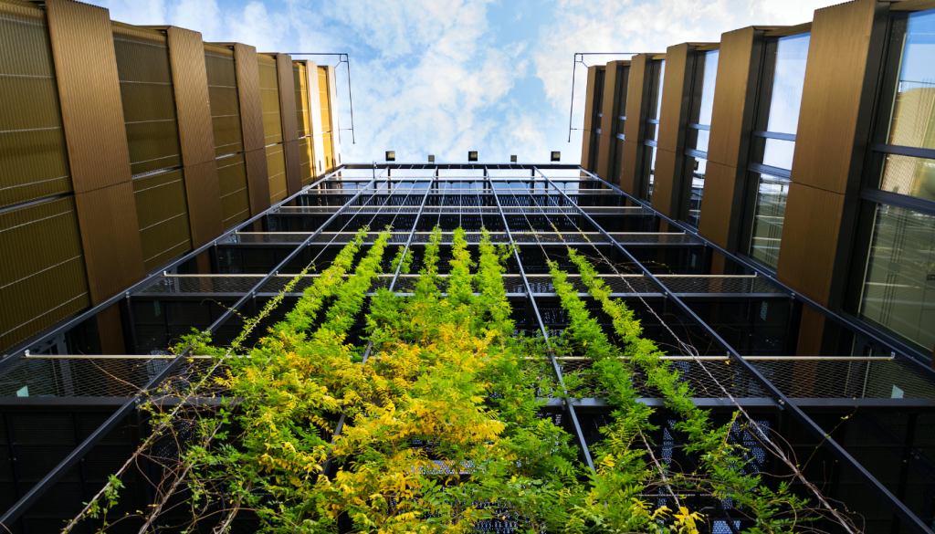 Chevron-Deference Decision Considerations for Commercial Real Estate ...